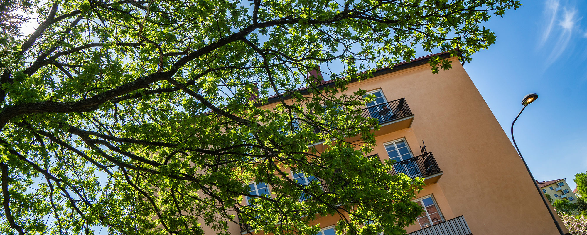 banner-träd-hus-Stora-Essingen - Gasnätet Stockholm